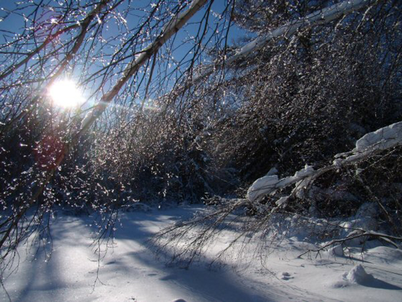 How Do You Feel About Snow Days? - Life, For InstanceLife, For Instance